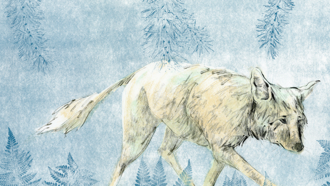 ALL THE WONDERS of Samson in the Snow | All The Wonders